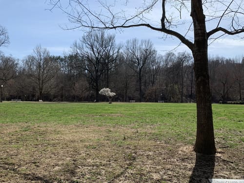 Best Hikes and Trails in Ritter Park | AllTrails