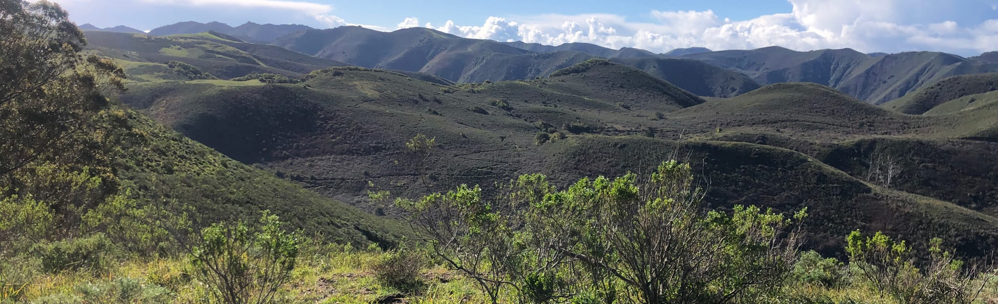 Montaña de Oro Rim Trail Loop: 48 Reviews, Map - California | AllTrails