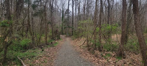 Best Hikes and Trails in Bethabara Park | AllTrails