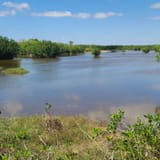 Marsh Trail, Florida - 260 Reviews, Map | AllTrails