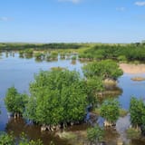 Marsh Trail, Florida - 260 Reviews, Map | AllTrails
