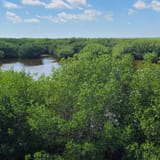 Marsh Trail, Florida - 260 Reviews, Map | AllTrails