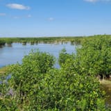 Marsh Trail, Florida - 260 Reviews, Map | AllTrails