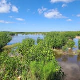Marsh Trail, Florida - 260 Reviews, Map | AllTrails