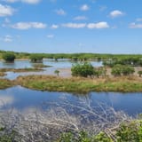 Marsh Trail, Florida - 260 Reviews, Map | AllTrails
