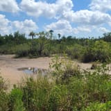 Marsh Trail, Florida - 260 Reviews, Map | AllTrails