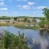 Marsh Trail, Florida - 260 Reviews, Map | AllTrails