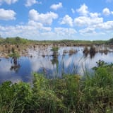 Marsh Trail, Florida - 260 Reviews, Map | AllTrails