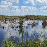 Marsh Trail, Florida - 260 Reviews, Map | AllTrails