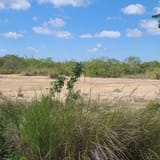 Marsh Trail, Florida - 267 Reviews, Map | AllTrails