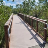 Marsh Trail, Florida - 267 Reviews, Map | AllTrails