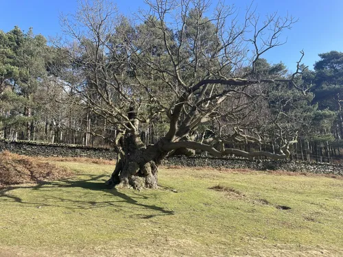 10 Best Trails, Walks, and Paths in Leicester | AllTrails