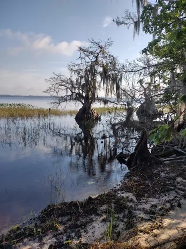 2023 Best Forest Trails in Frostproof | AllTrails