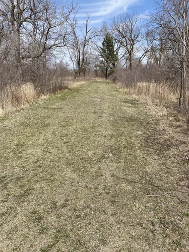 Best Hikes and Trails in Dead Timber State Recreation Area | AllTrails