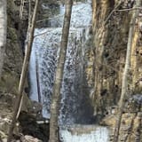 Devil's Racetrack Trail, Tennessee - 530 Reviews, Map | AllTrails