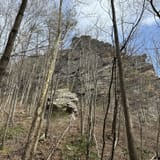 Devil's Racetrack Trail, Tennessee - 530 Reviews, Map | AllTrails
