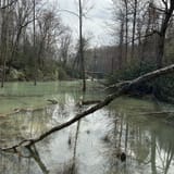 Devil's Racetrack Trail, Tennessee - 546 Reviews, Map | AllTrails