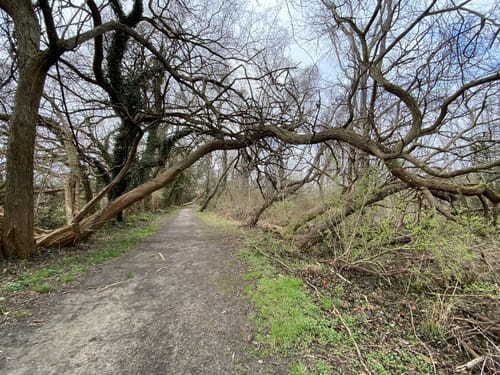 Best Hikes and Trails in Wye Island Natural Resource Management Area ...