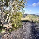 Ontario Ridge Trail via Sycamore Springs, California - 445 Reviews, Map ...