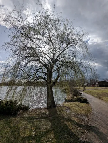 Best Hikes and Trails in Delhi Township Park | AllTrails