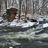 Scantic River Trail, Connecticut - 382 Reviews, Map | AllTrails