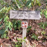 Sutton Ridge Overlook Trail, Tennessee - 495 Reviews, Map | AllTrails
