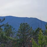 Sutton Ridge Overlook Trail, Tennessee - 495 Reviews, Map | AllTrails