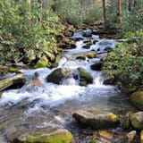 Sutton Ridge Overlook Trail, Tennessee - 495 Reviews, Map | AllTrails