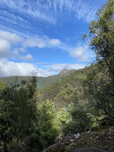 10 Best Trails and Hikes in Fern Tree | AllTrails