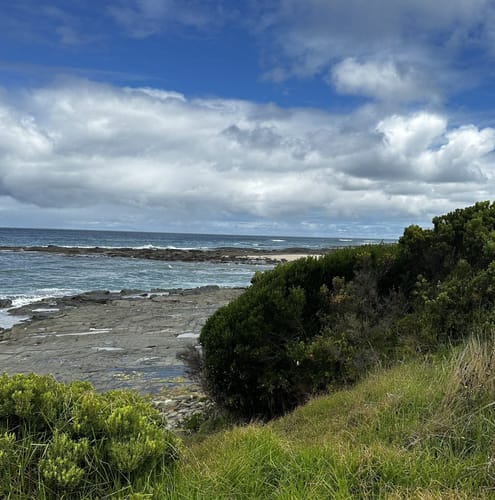 Best Hikes and Trails in Apollo Bay Coastal Reserve | AllTrails