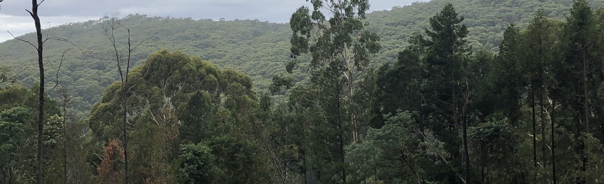 Olinda via Woolrich Lookout: 34 Reviews, Map - Victoria, Australia ...