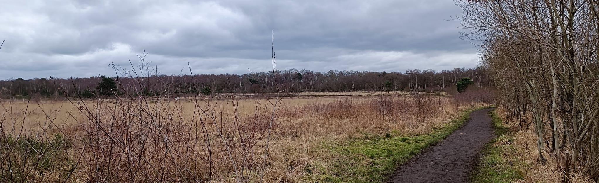 Whitmoor Common Circular: 32 foto's - Surrey, Engeland | AllTrails