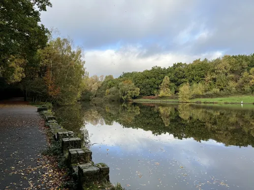 Best Hikes and Trails in Sutton Park | AllTrails