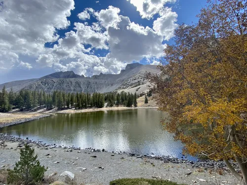 Best 10 Hikes and Trails in Great Basin National Park | AllTrails