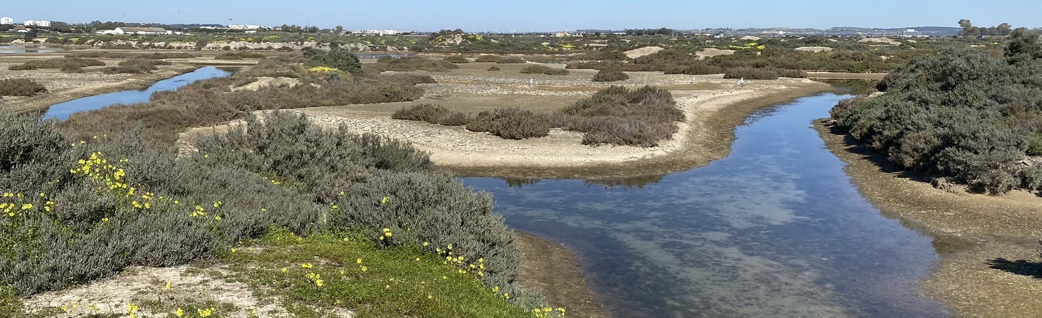Valdelagrana - Parque Natural de la bahía de Cádiz: 39 foto's - Cádiz ...