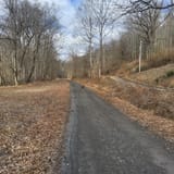 Elk River Rail Trail, West Virginia - 53 Reviews, Map | AllTrails