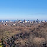 Chedoke Stairs, Ontario, Canada - 67 Reviews, Map | AllTrails