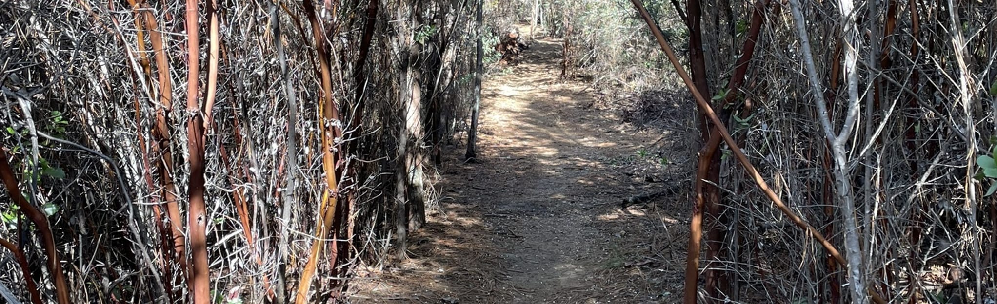 Bonny Doon Trail: 33 Reviews, Map - California | AllTrails