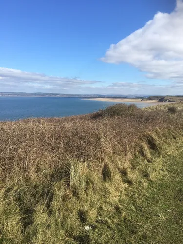 10 Best Wild Flowers Trails in Gower National Landscape (AONB) | AllTrails