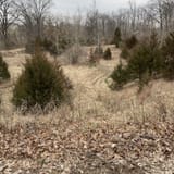 Deer Ridge Park 4K Loop, Missouri - 121 Reviews, Map | AllTrails