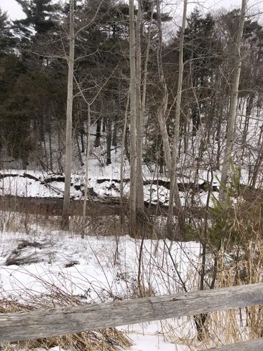 Best Hikes and Trails in German Mills Settlers Park | AllTrails