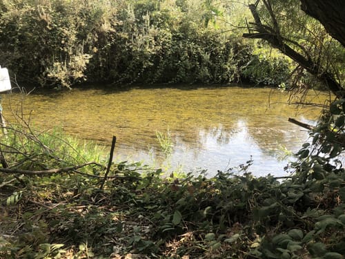 Best Hikes and Trails in Lake Solano County Park | AllTrails