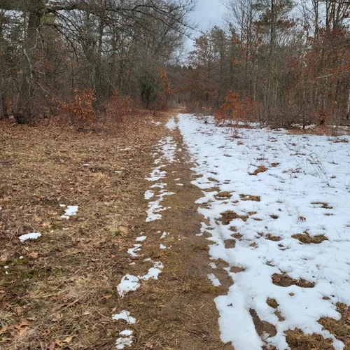 Best Hikes and Trails in Robinson Forest Open Space | AllTrails