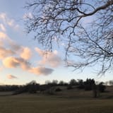 Chase Farm, Rhode Island - 275 Reviews, Map | AllTrails