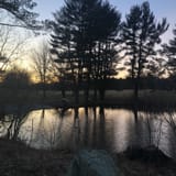 Chase Farm, Rhode Island - 275 Reviews, Map | AllTrails