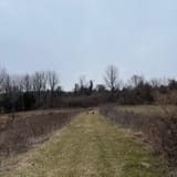 Pequest Wildlife Management Area Trails, New Jersey - 64 Reviews, Map ...