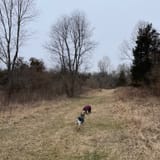 Pequest Wildlife Management Area Trails, New Jersey - 64 Reviews, Map ...