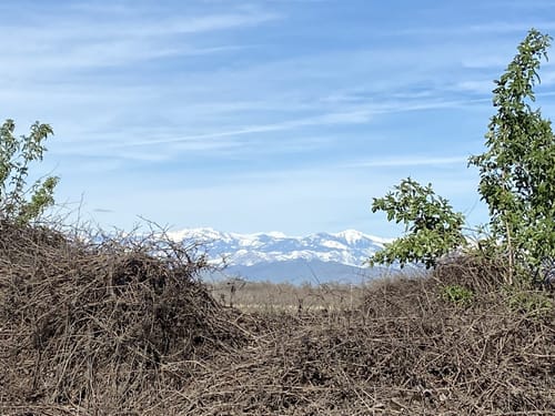 Best Hikes and Trails in Kaweah Oaks Preserve | AllTrails