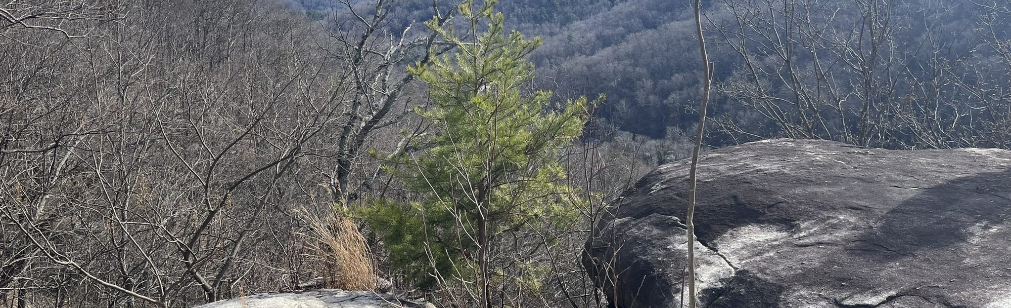 Chimney Rock Village Boulders Trail, North Carolina - 23 Reviews, Map ...