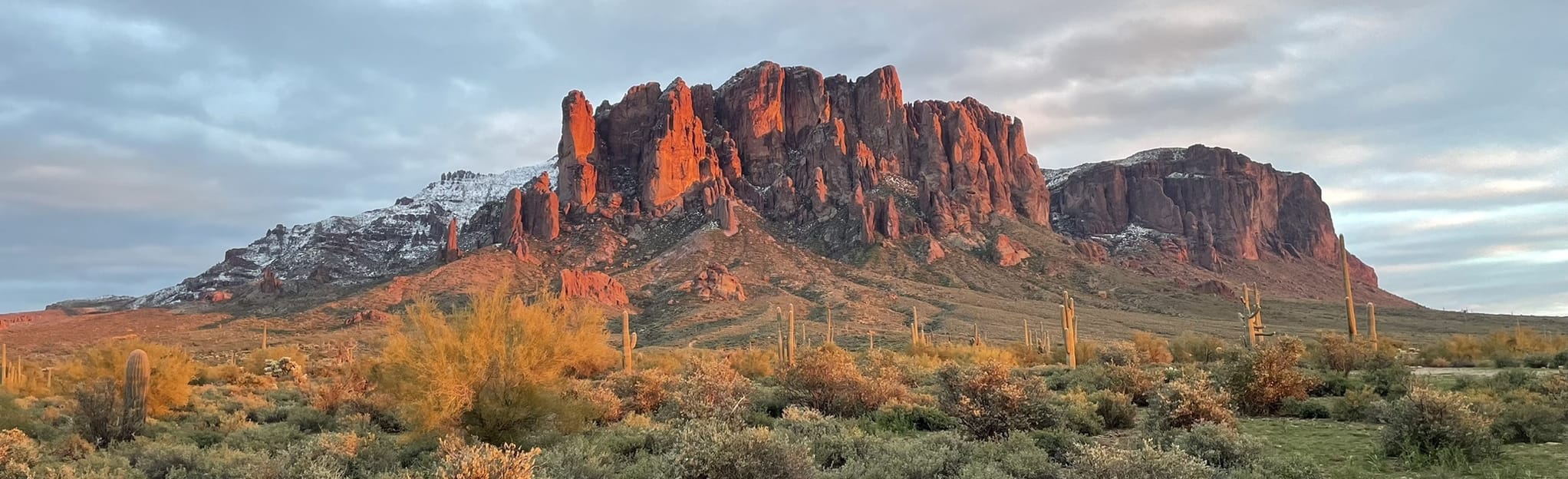 Lost Dutchman Campground Loop, Arizona - 36 Reviews, Map | AllTrails